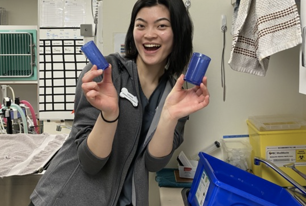 Point Grey Veterinary Hospital Pill Vial Recycling Program