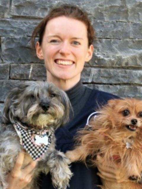 Vet Hospital Vancouver | Point Grey Veterinary Hospital