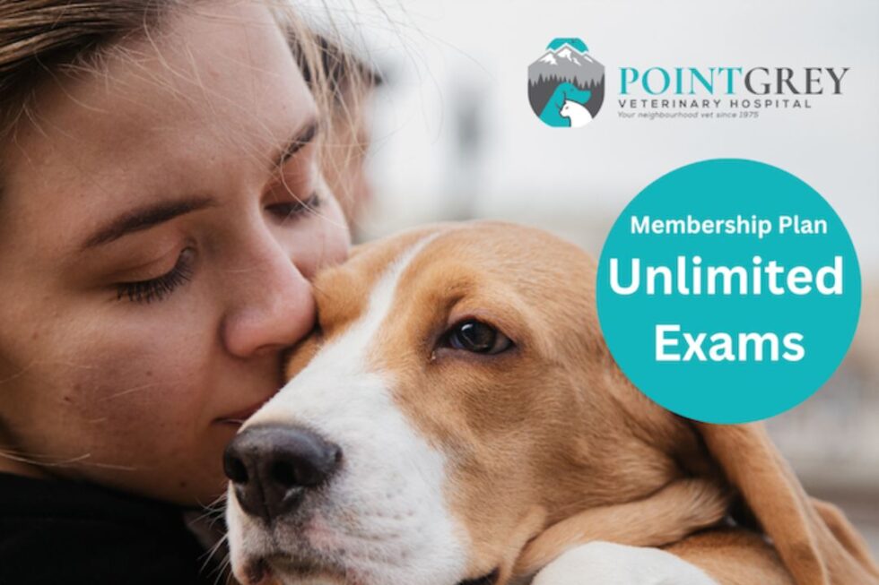 Membership Plans | Point Grey Veterinary Hospital